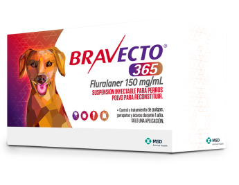 Bravecto® 365 manejo antiparasitario de 1 dosis por 12 meses