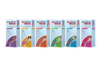 Bravecto 1M Triple - MSD Salud Animal Panama